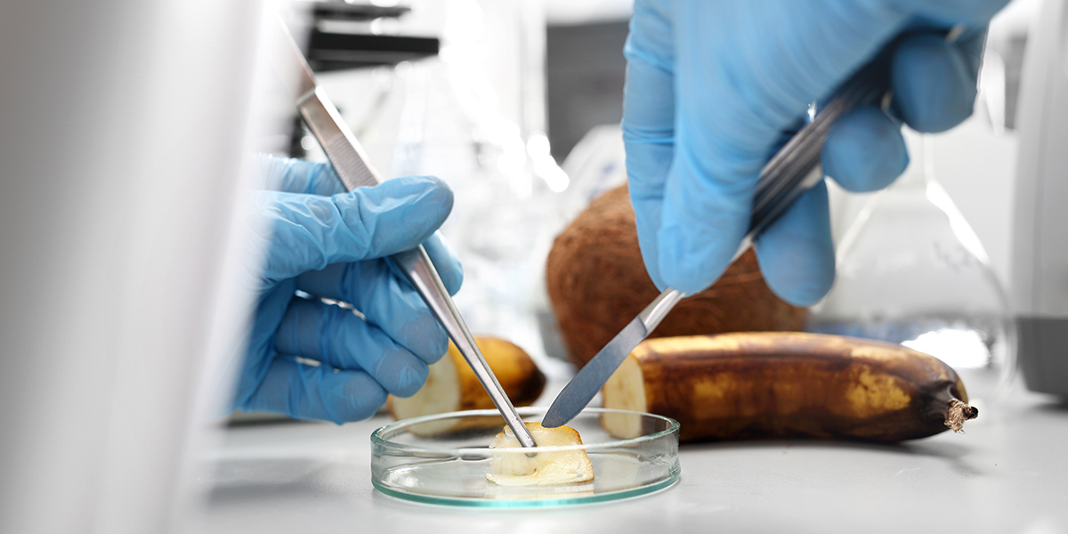 Renew Your CFS - IFT.org