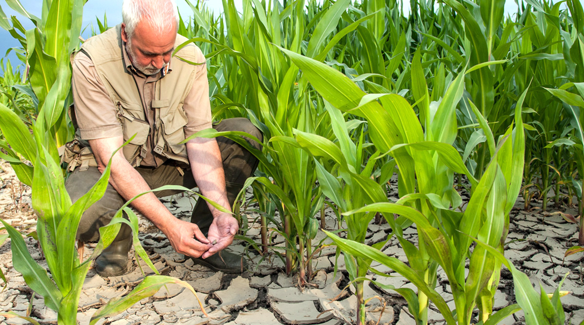 Improving Ag in the Face of Climate Change - IFT.org