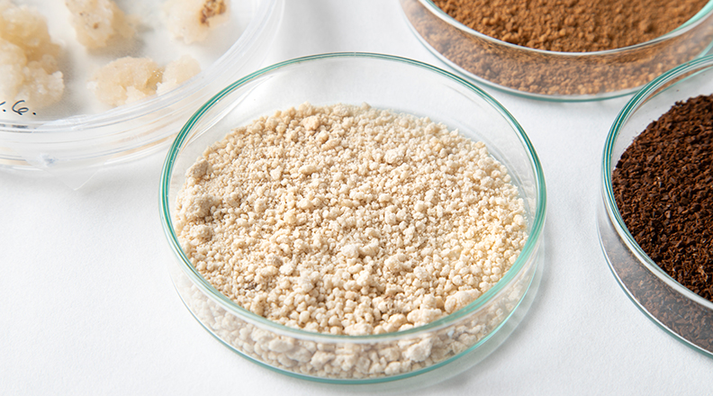 Coffee is the Latest to be ‘Grown’ in a Lab - IFT.org