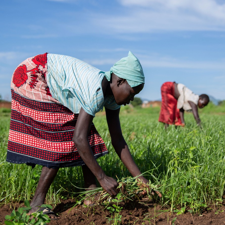 The 411 on Functional Foods - IFT.org