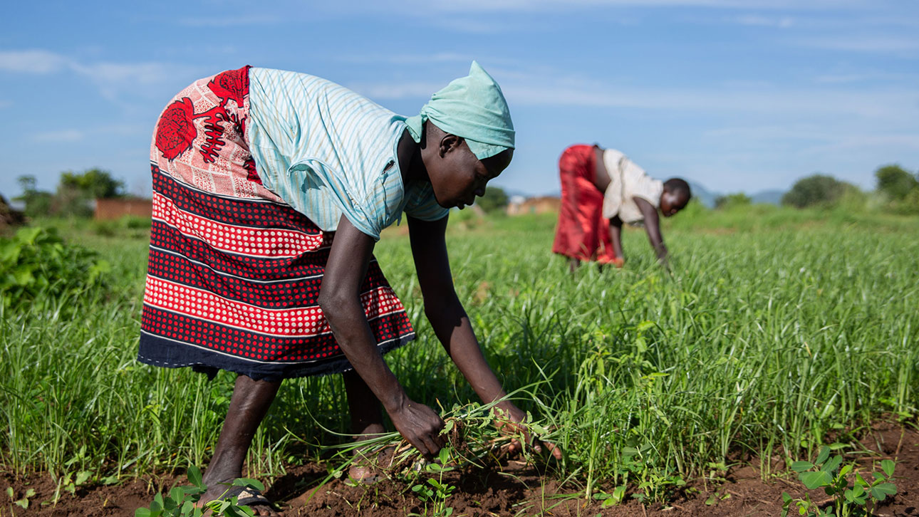 Zero Hunger Action Plan - IFT.org