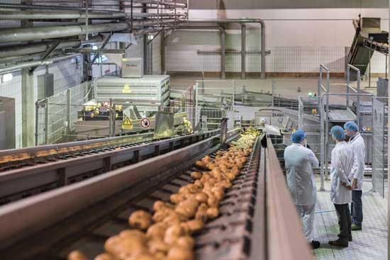 Pulsed Electric Field Processing for Fruits and Vegetables - IFT.org