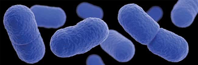 Combating Listeria Without Hysteria IFT combating-listeria-without-hysteria-ift