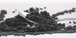 How Caviar Is Processed - IFT.org