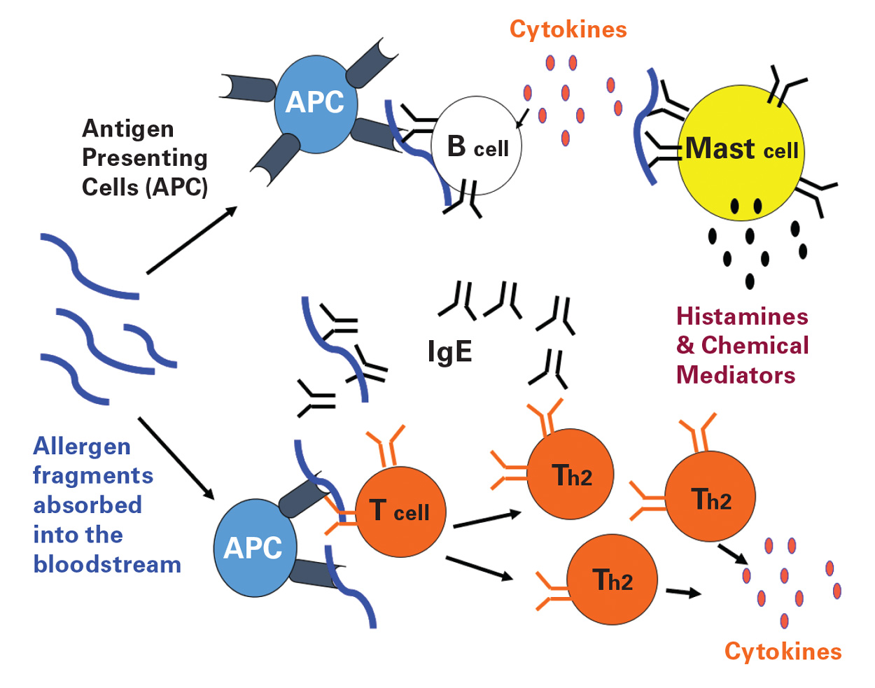 Allergenicity and Food Processing - IFT.org