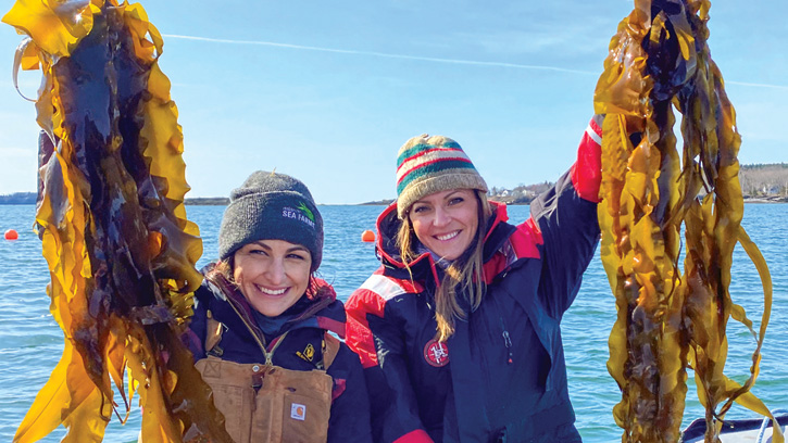 Teaming Up for a Sea Change - IFT.org