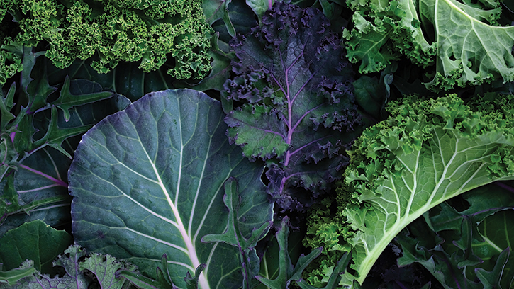 Dark Leafy Greens and Cognition, Remembering Al Clausi - IFT.org
