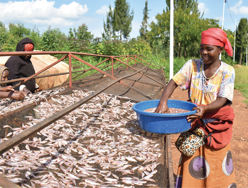 Fish Protein Startup Boosts Nutrition in Rwanda - IFT.org