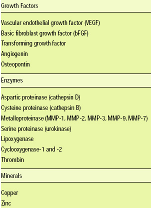 Preventing Degenerative Diseases by Anti-Angiogenic Functional Foods ...