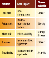 Beyond Nutrition The Impact of Food on Genes - IFT.org