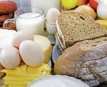 Food Scientists & Dietary Reference Intakes: An Important Alliance ...