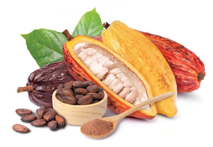 Digital Exclusives - IFT.org