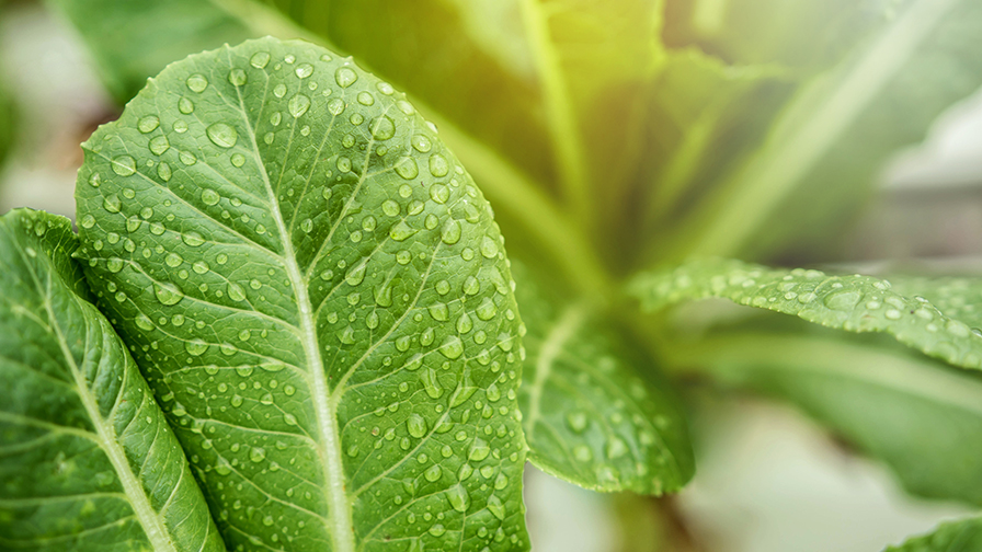 Global Food Traceability Center - IFT.org