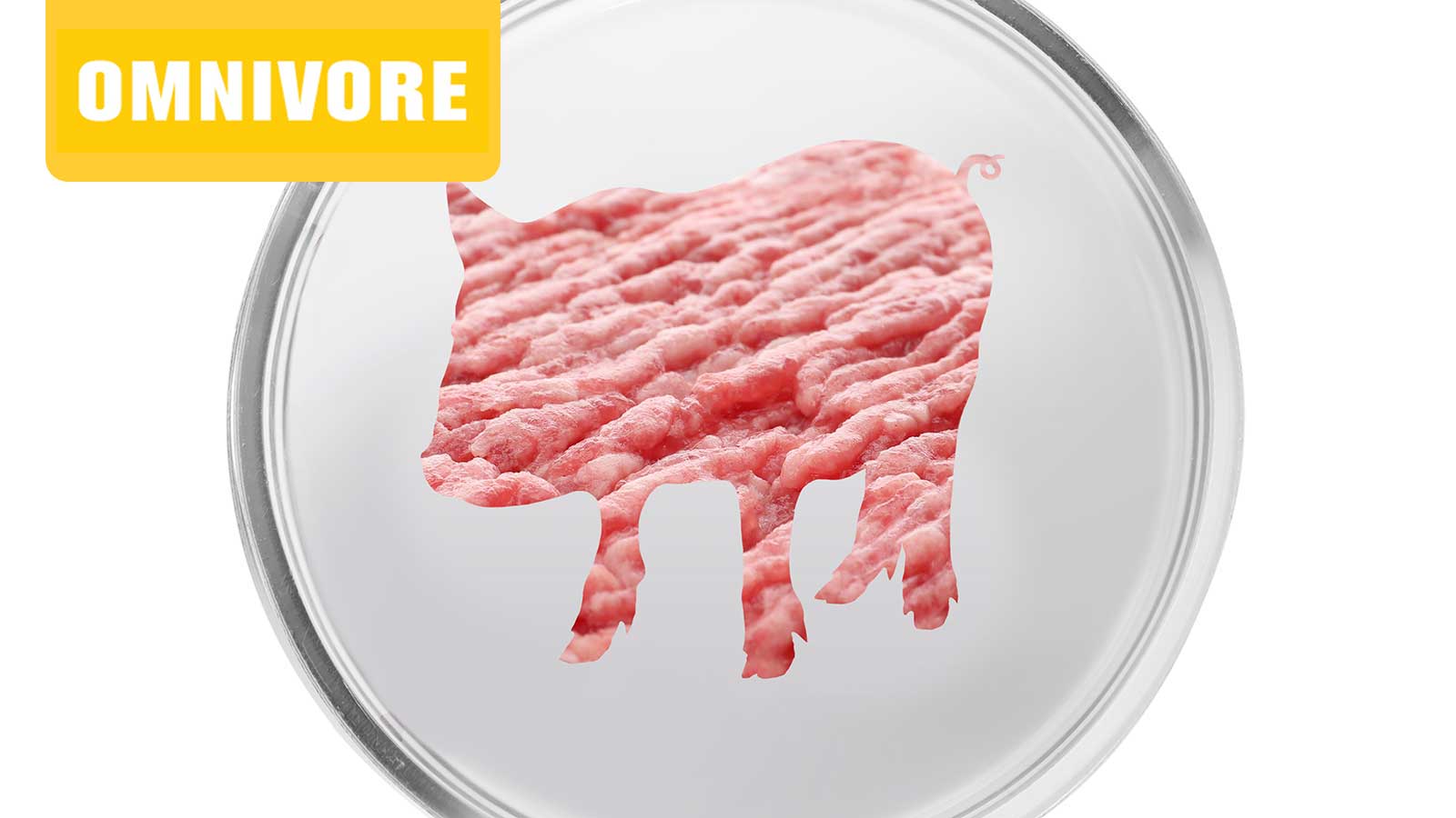 How Eco Friendly Is Cultivated Meat - IFT.org