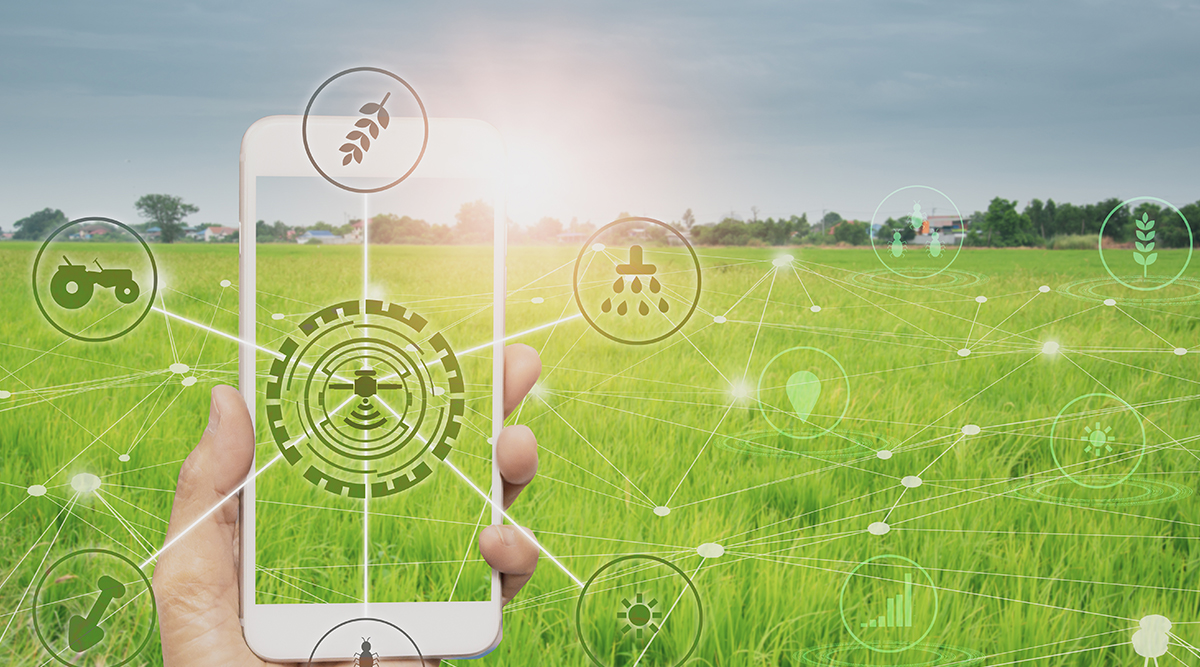 IFT Responds to FDA's Food Traceability Rule - IFT.org