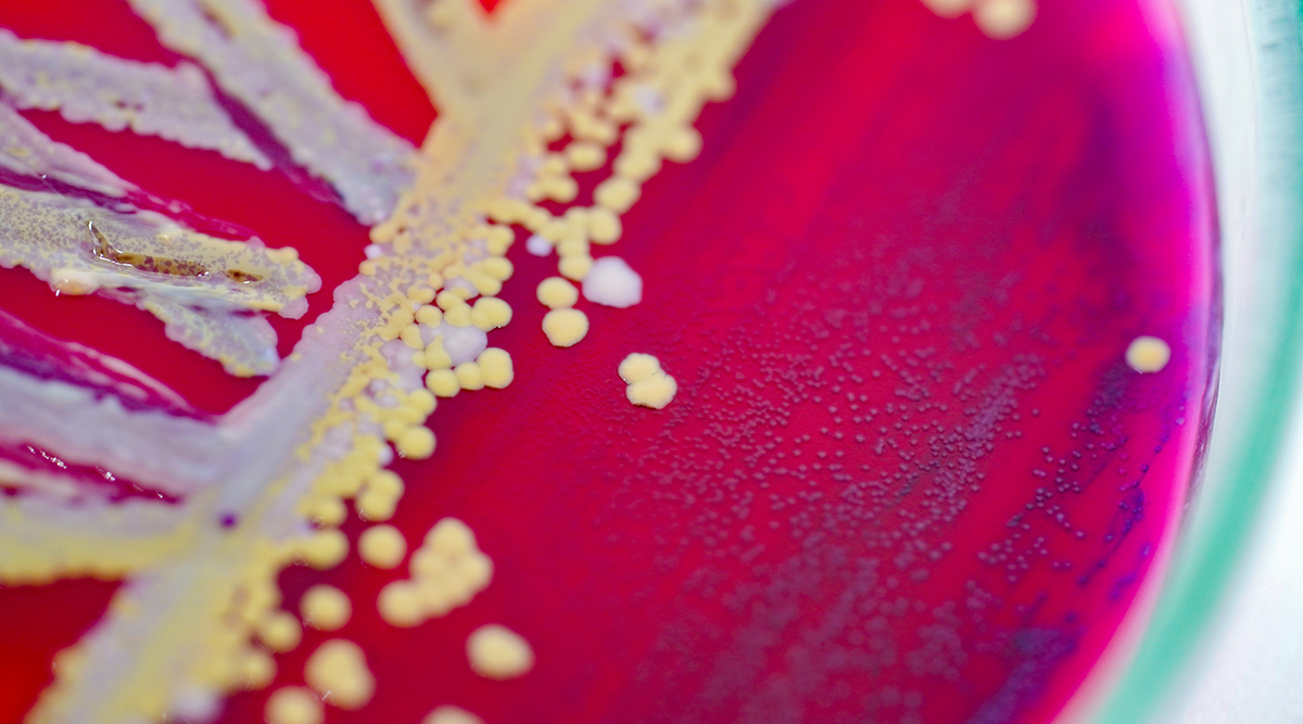 Understanding your Microbiome - IFT.org